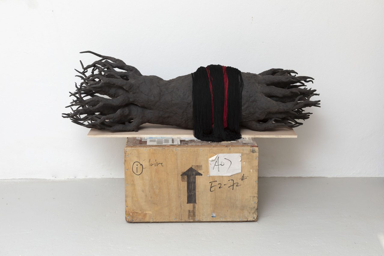 Studio | Claire Curneen